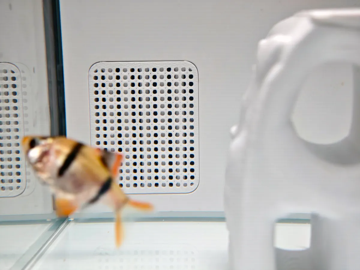 Xiaomi Fish Tank Gen 2 Inflow Filter Net for Preventing Fish and Shrimp ...