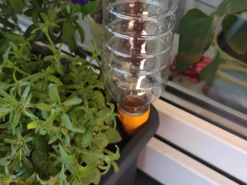 Bottle water plant dispenser by Chelaster MakerWorld: Download Free 3D Models