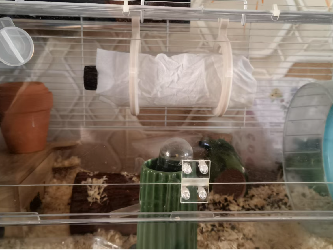 Summer Hamster Cage Cooling Device: Mineral Water Bottle Ice Cube ...