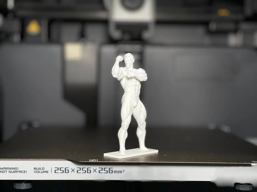 Bodybuilding Muscle Figurine by XiaoMing011110 MakerWorld: Download ...
