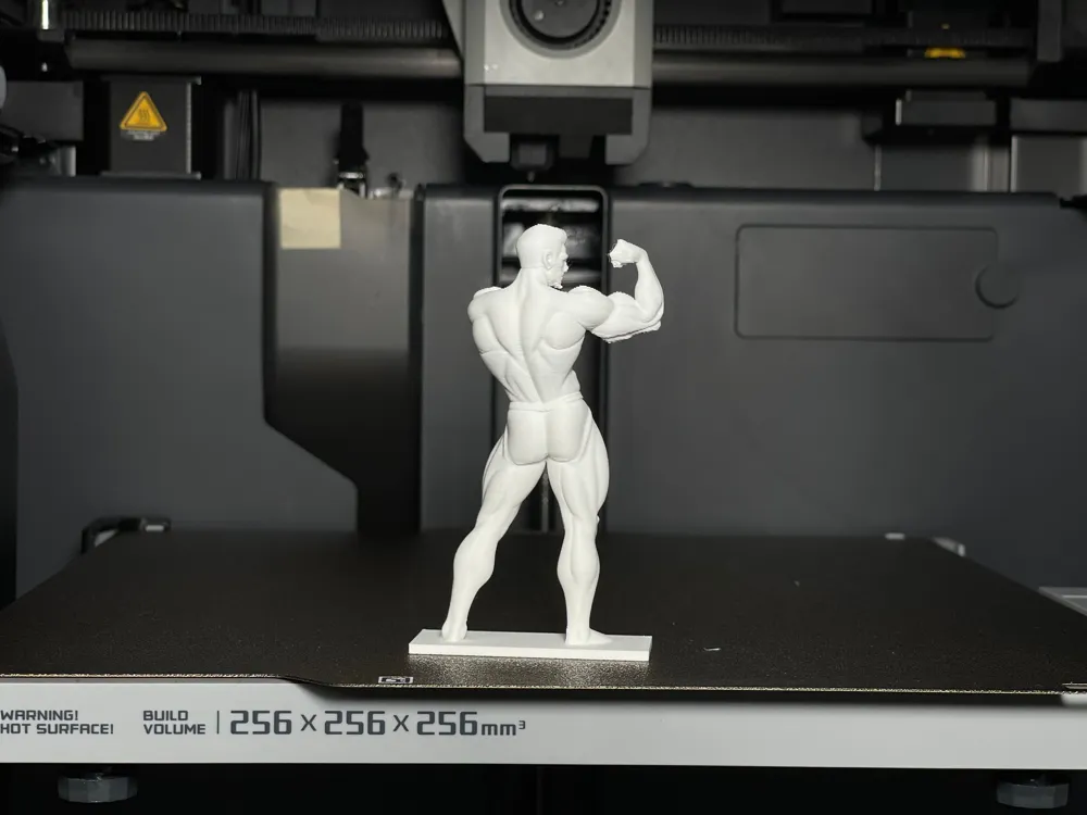 Bodybuilding Muscle Figurine by XiaoMing011110 MakerWorld: Download ...