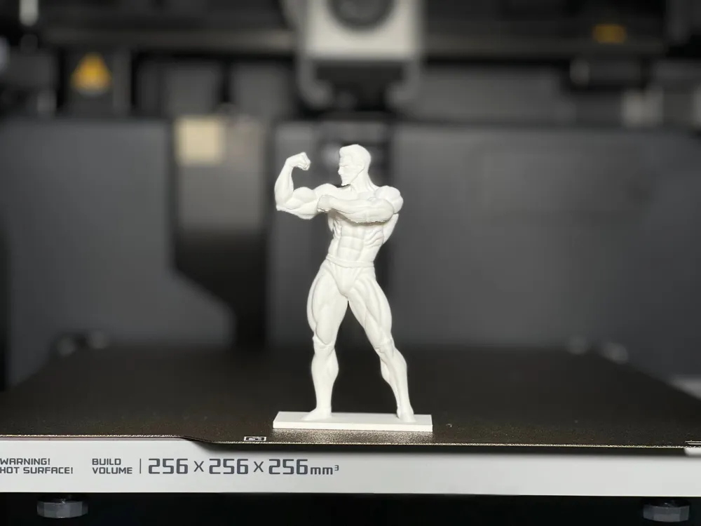 Bodybuilding Muscle Figurine by XiaoMing011110 MakerWorld: Download ...