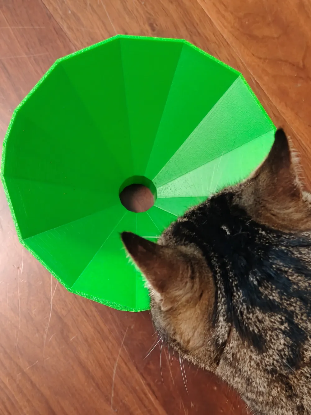 entonnoir surdimensionné pour la distribution de nourriture pour chats ...