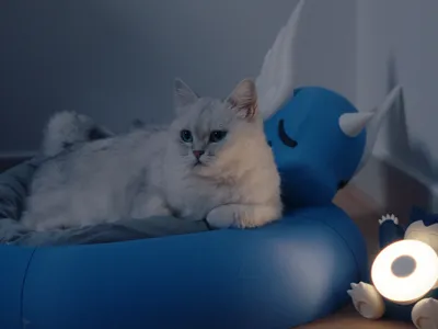 Ikeda | Inicio - MakerWorld