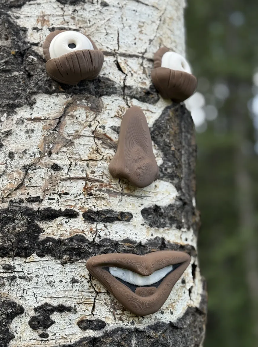 Tree Face - Version 2 (AMS Needed) - Free 3D Print Model - MakerWorld