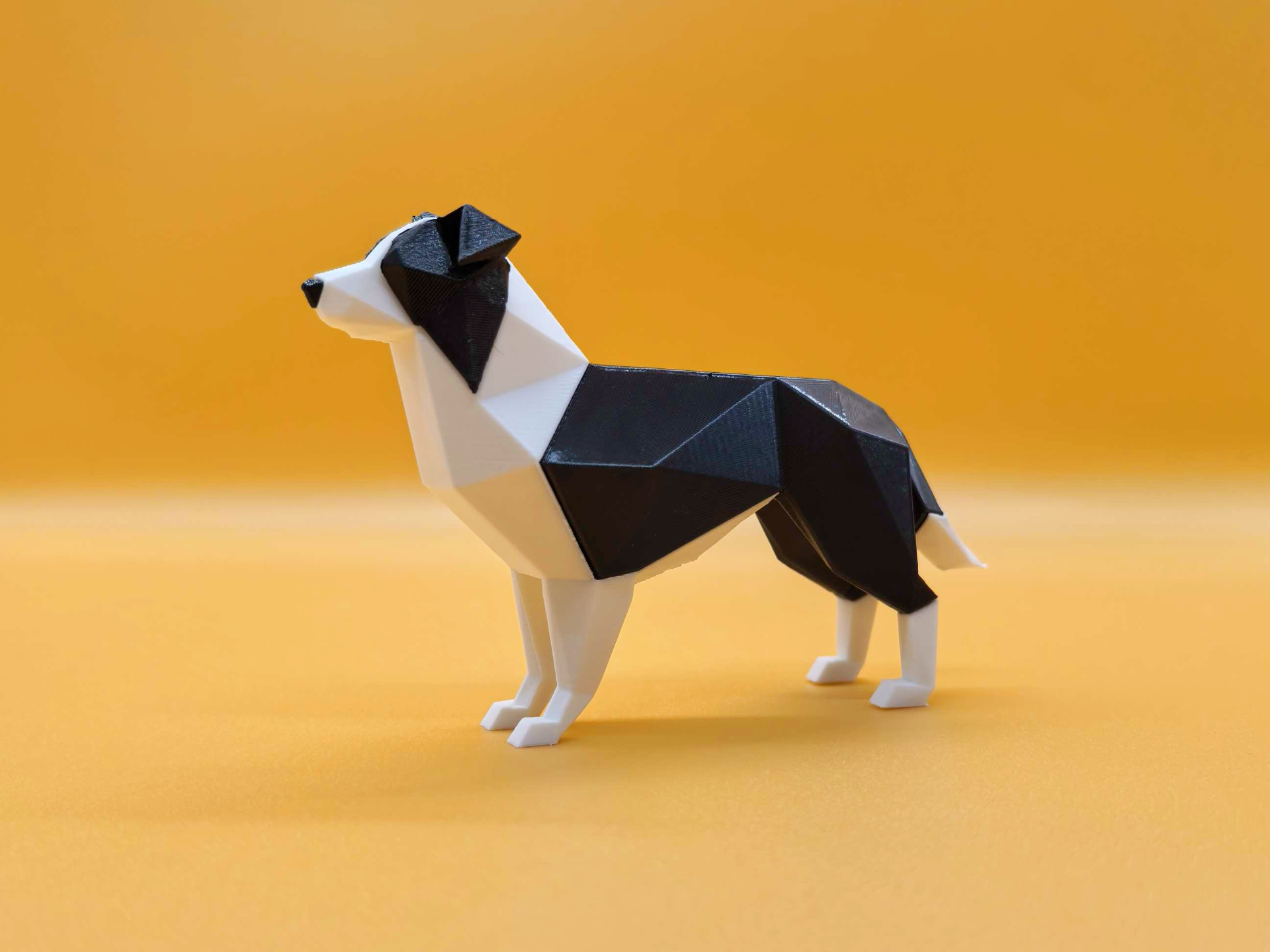 Low poly Border Collie (color separated parts/multi-color) by Solune ...