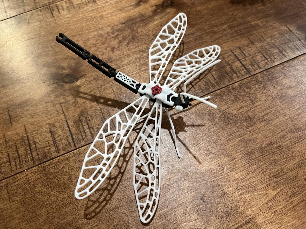 Articulated Dragonfly by Paragon 11311 MakerWorld: Download Free 3D Models