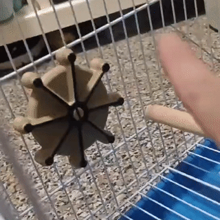 Parrot Toy Parrot Rocking Toy, fully printed, no hardware needed by ...