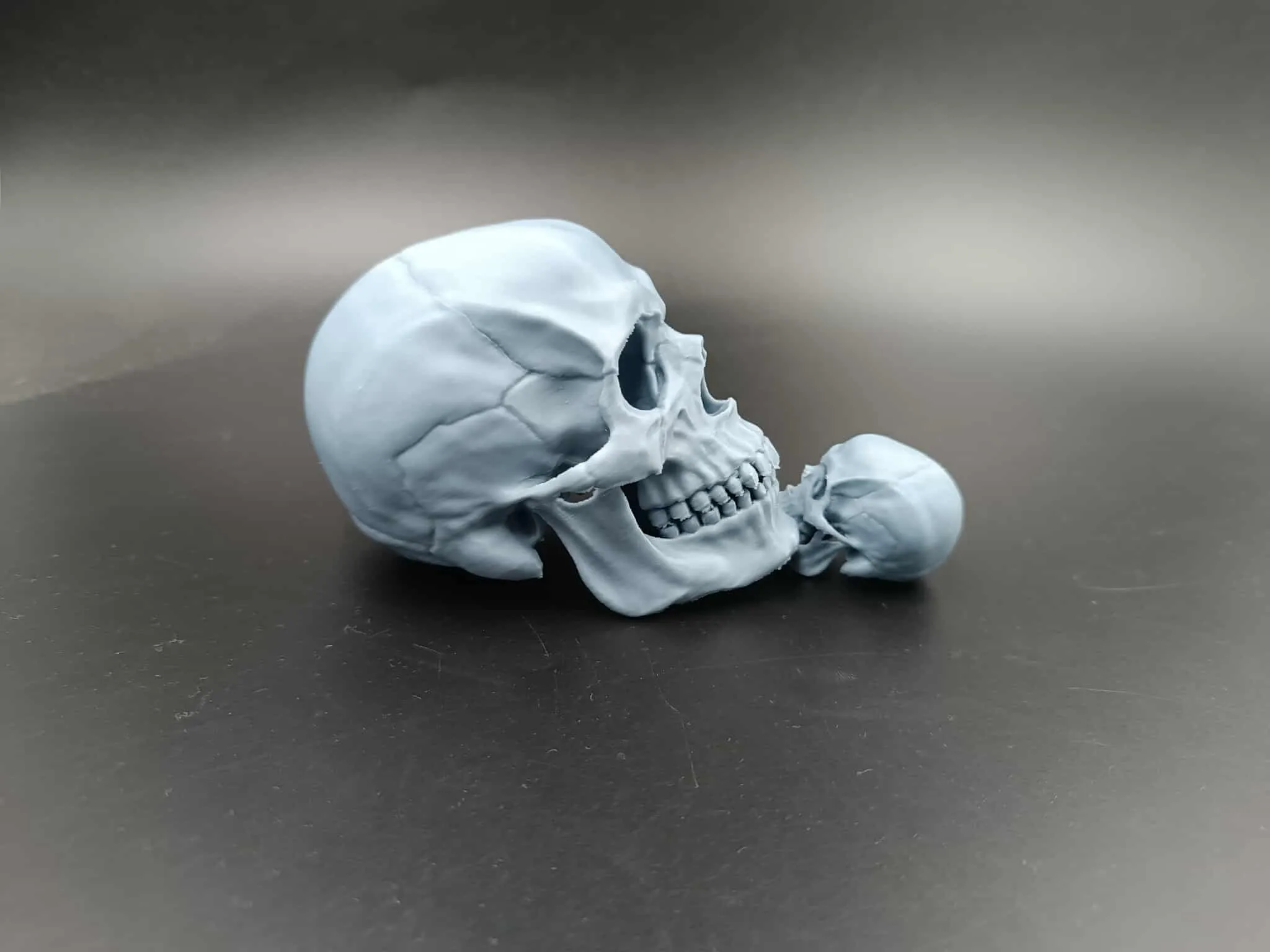 Anatomical Human Skull – Realistic - Free 3D Print Model - MakerWorld