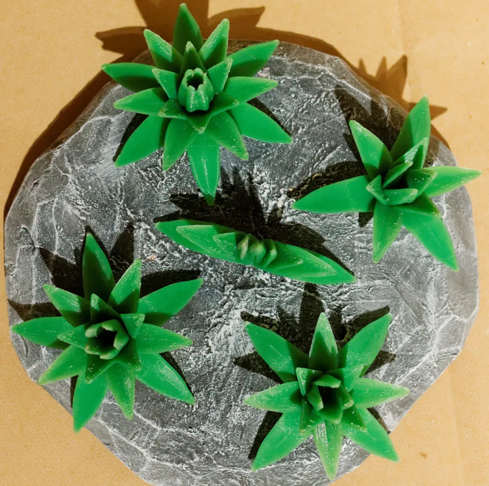 Tabletop plant: 5 Agaves Set (number of leaves) by GrimGreeble ...