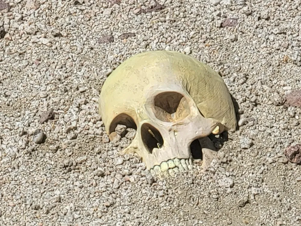 Skull In the Dirt - Free 3D Print Model - MakerWorld