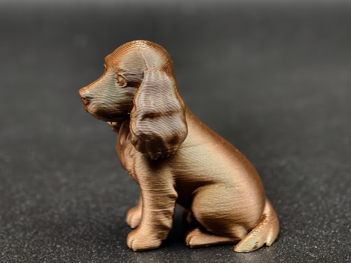 Cocker Spaniel by user_1679480106 MakerWorld: Download Free 3D Models