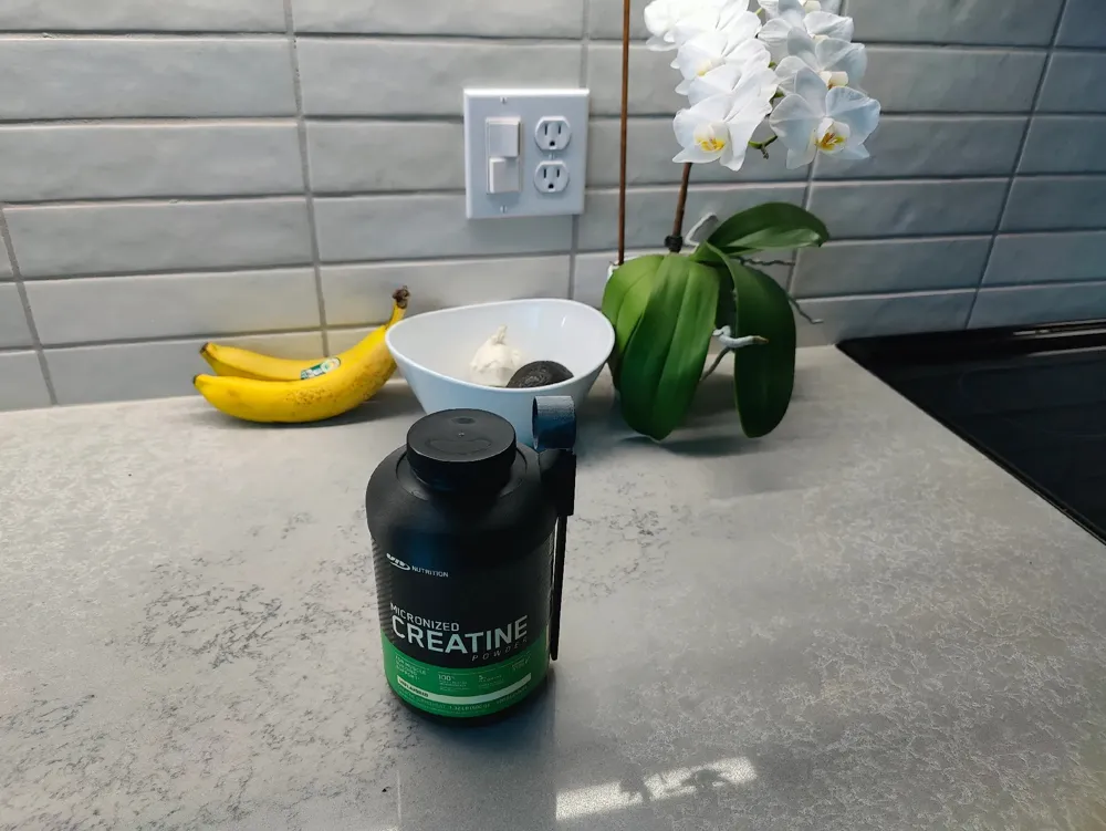 Optimum Nutrition Creatine 5g Scoop Holder - Free 3D Print Model ...