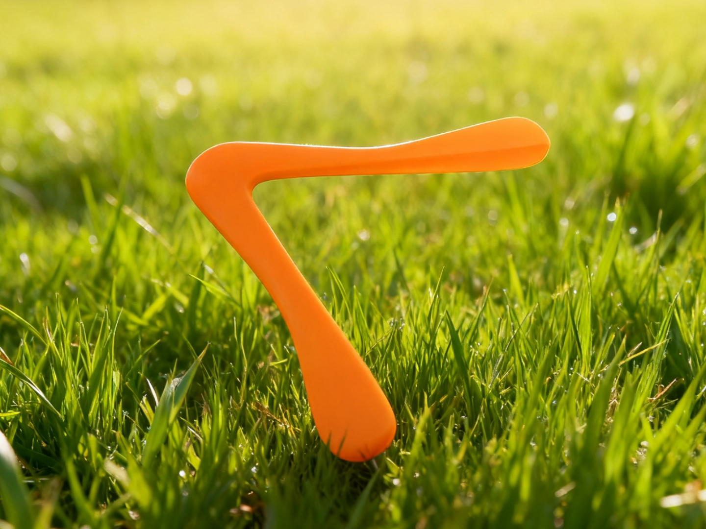 Bumerang-Spielzeug von user_3066667089 MakerWorld: Kostenlose 3D ...