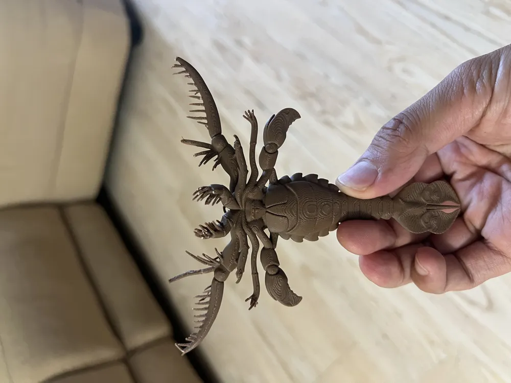 Eurypterid Paleozoic animal eurypterida by user_558522645 MakerWorld ...