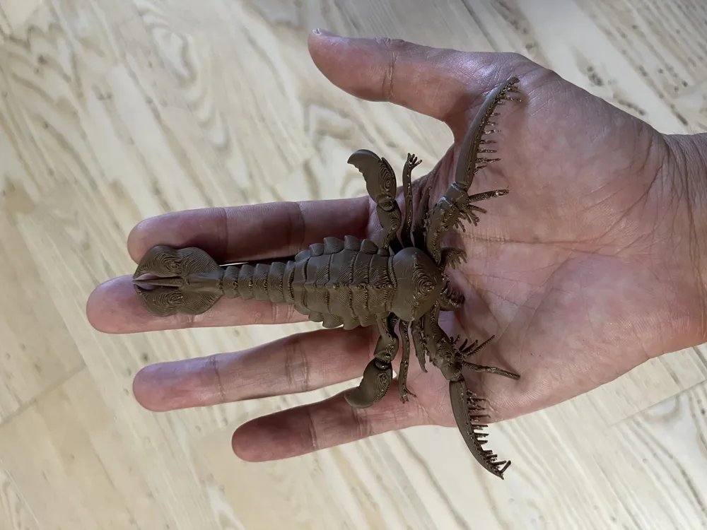 Eurypterid Paleozoic animal eurypterida by user_558522645 MakerWorld ...