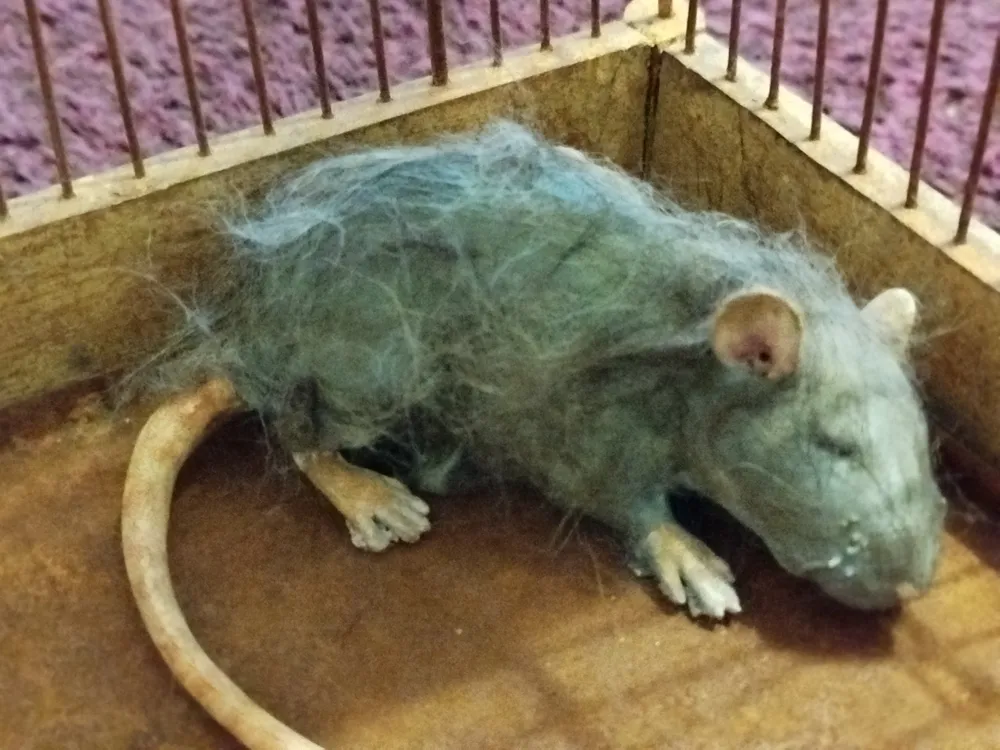 Rat - Free 3D Print Model - MakerWorld