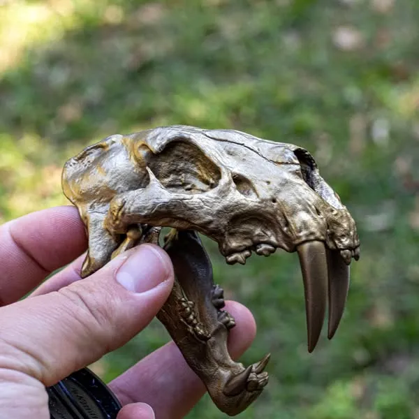 Sabertooth Skull by FoGo MakerWorld: Download Free 3D Models