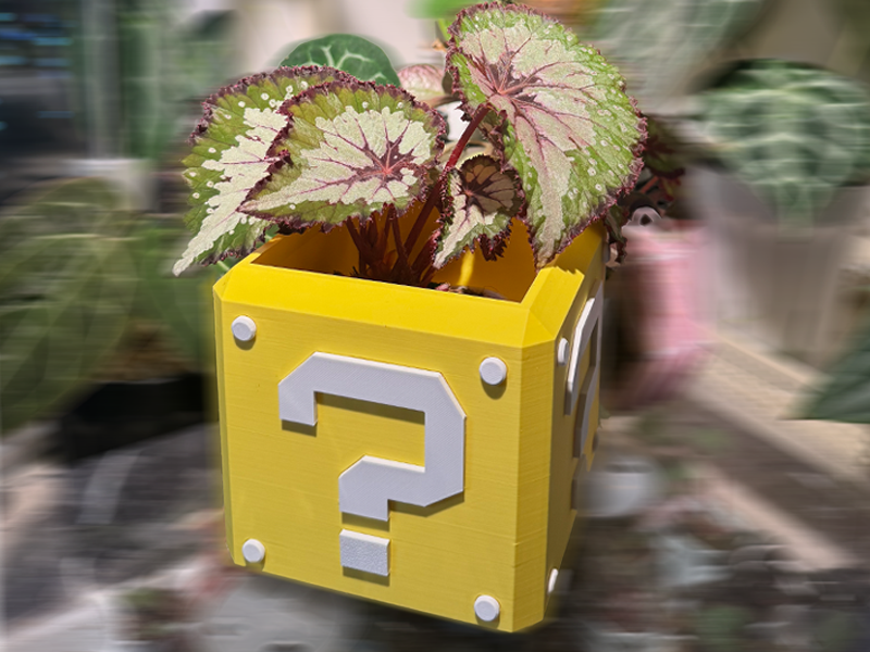 Mario Question Mark Box Planter 15cm Diameter, No AMS Needed, Improved ...