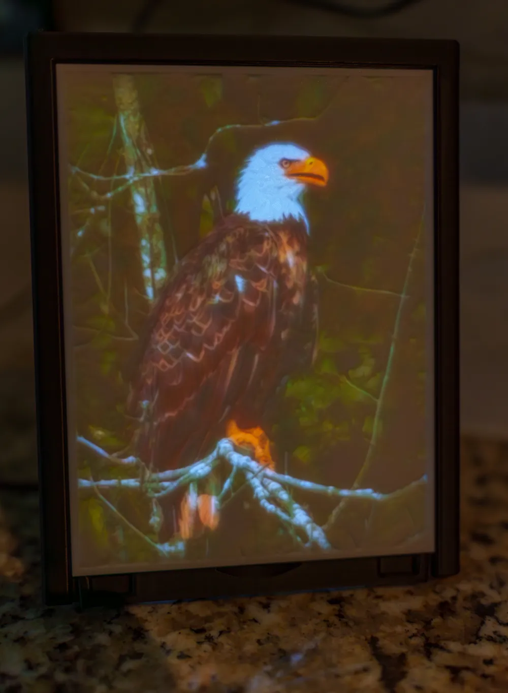 Majestic Bald Eagle - Free 3D Print Model - MakerWorld