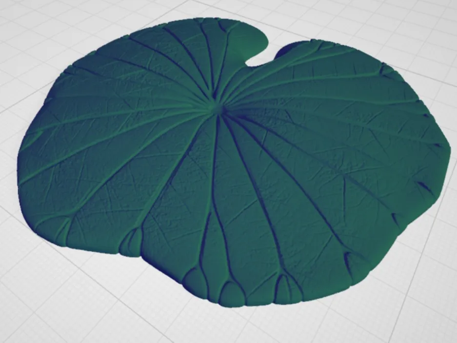 3D Lotus Leaf - Free 3D Print Model - MakerWorld