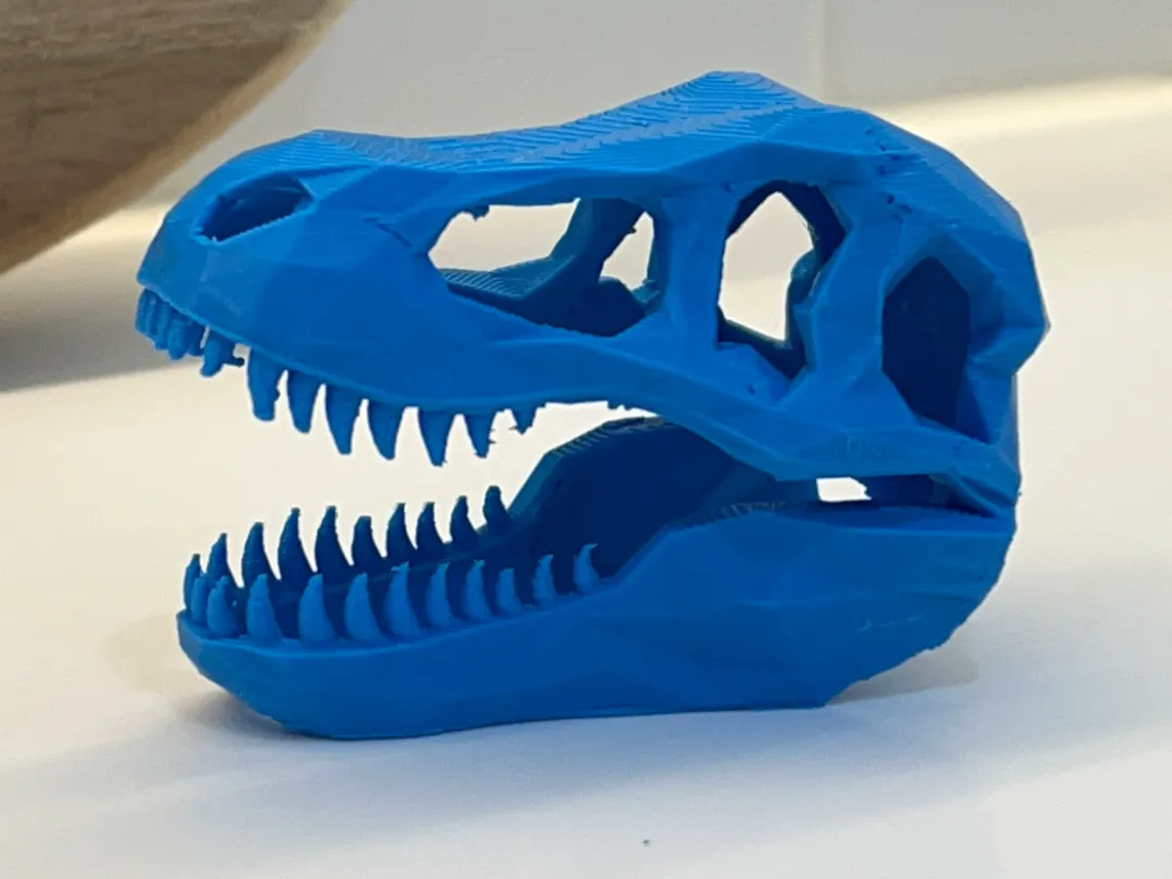 Low Poly T-Rex Skull by ProtoBit MakerWorld: Download Free 3D Models