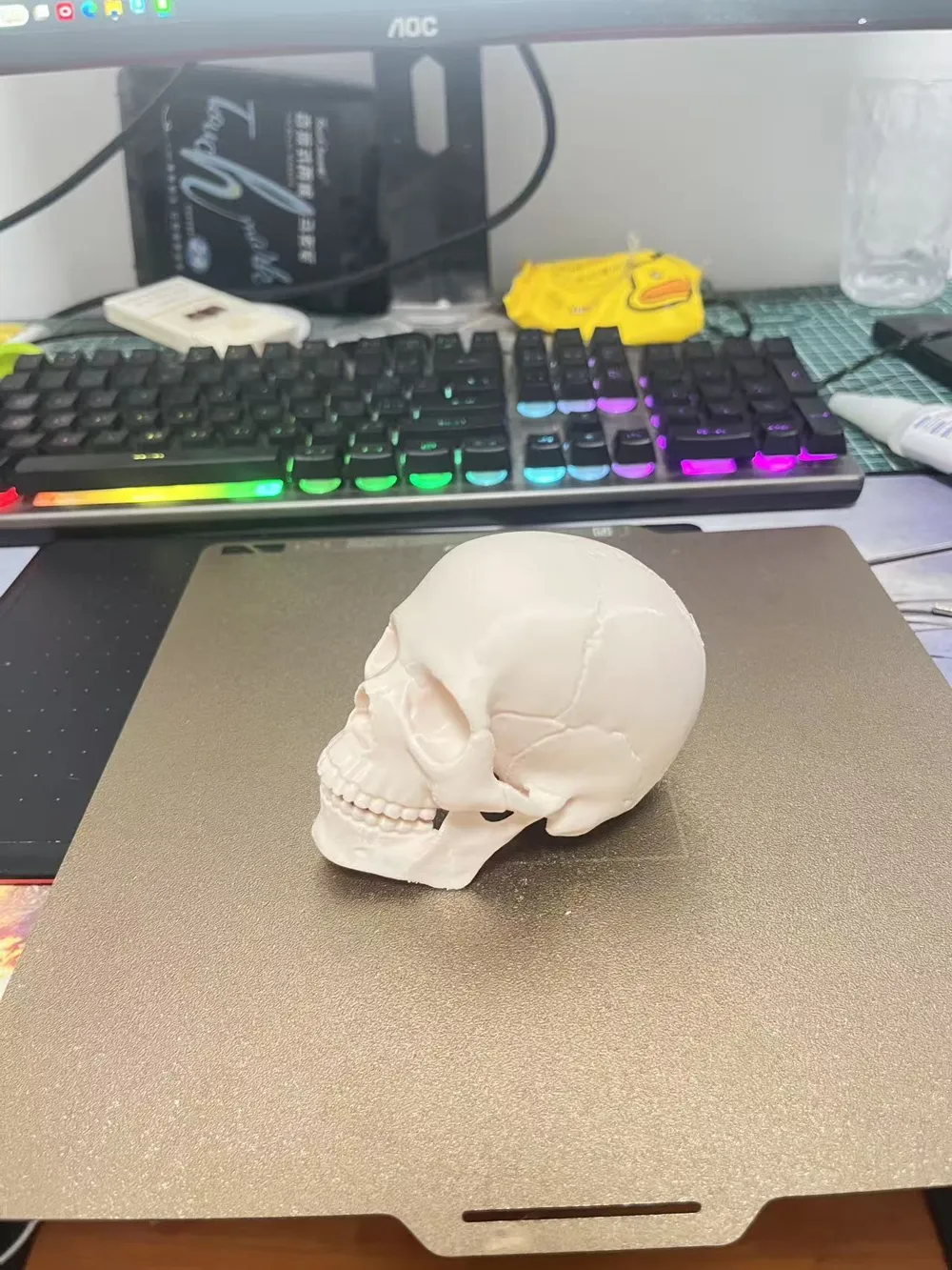 Skull with Movable Mandible - Easy Assembly - Free 3D Print Model ...