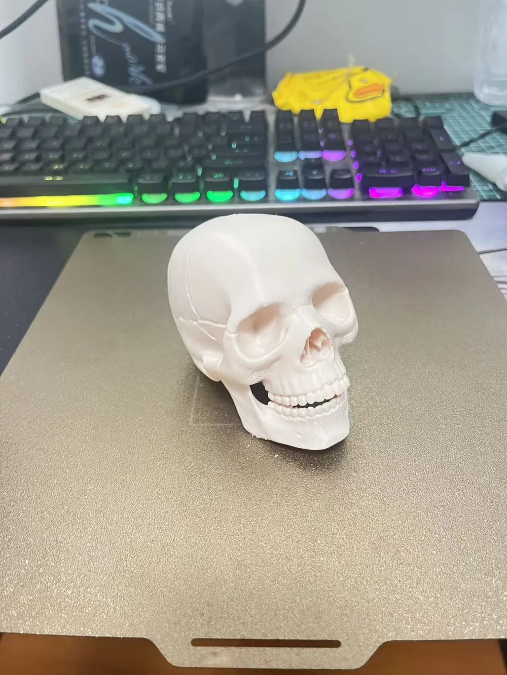 Skull with Movable Mandible - Easy Assembly - Free 3D Print Model ...