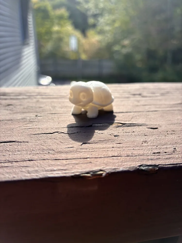 Todd the Turtle by 1hp_left MakerWorld: Download Free 3D Models