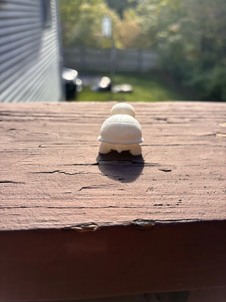 Todd the Turtle by 1hp_left MakerWorld: Download Free 3D Models