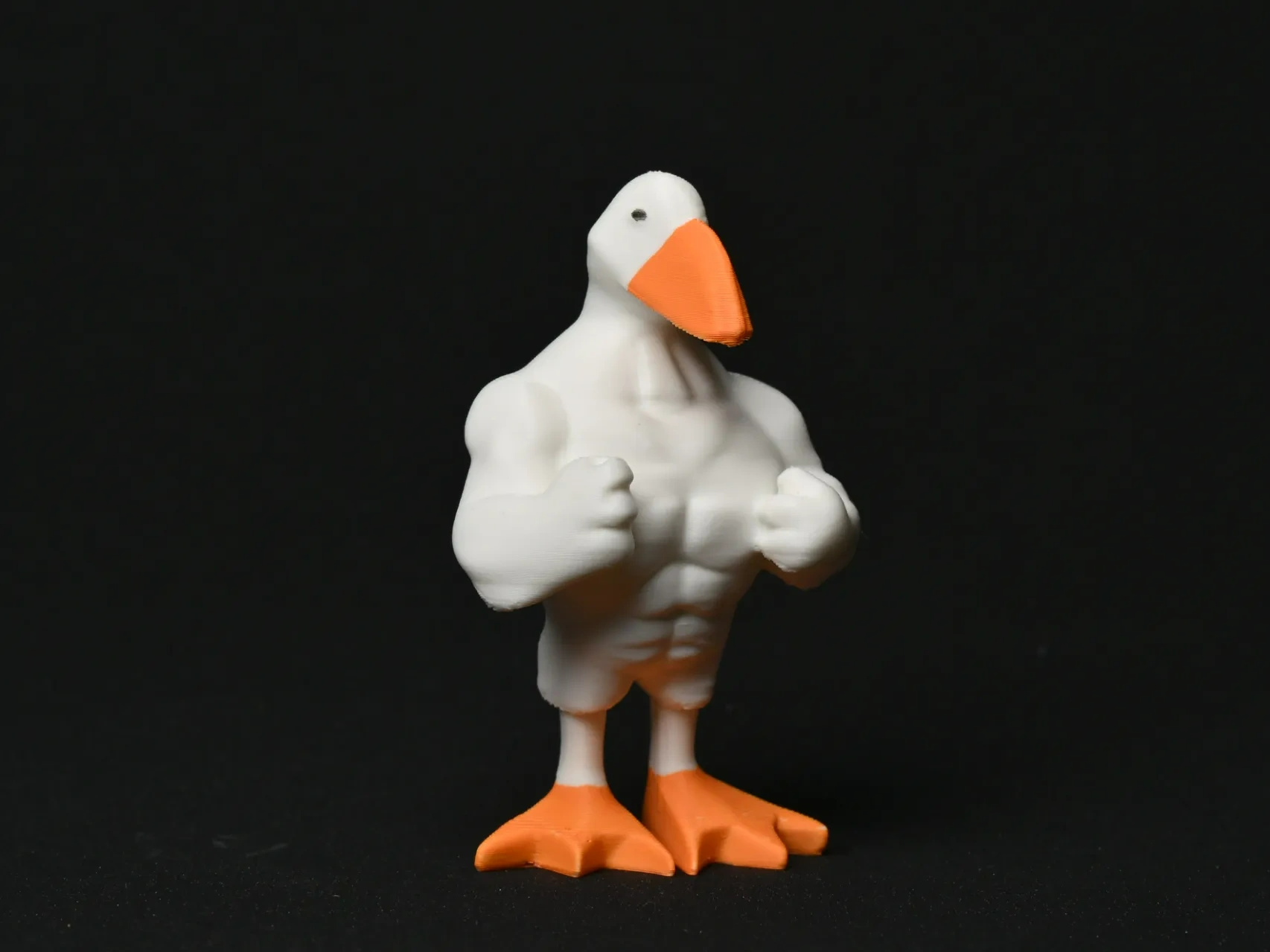 Pato fuerte pato fitness por Hazel MakerWorld: Descarga Modelos 3D ...