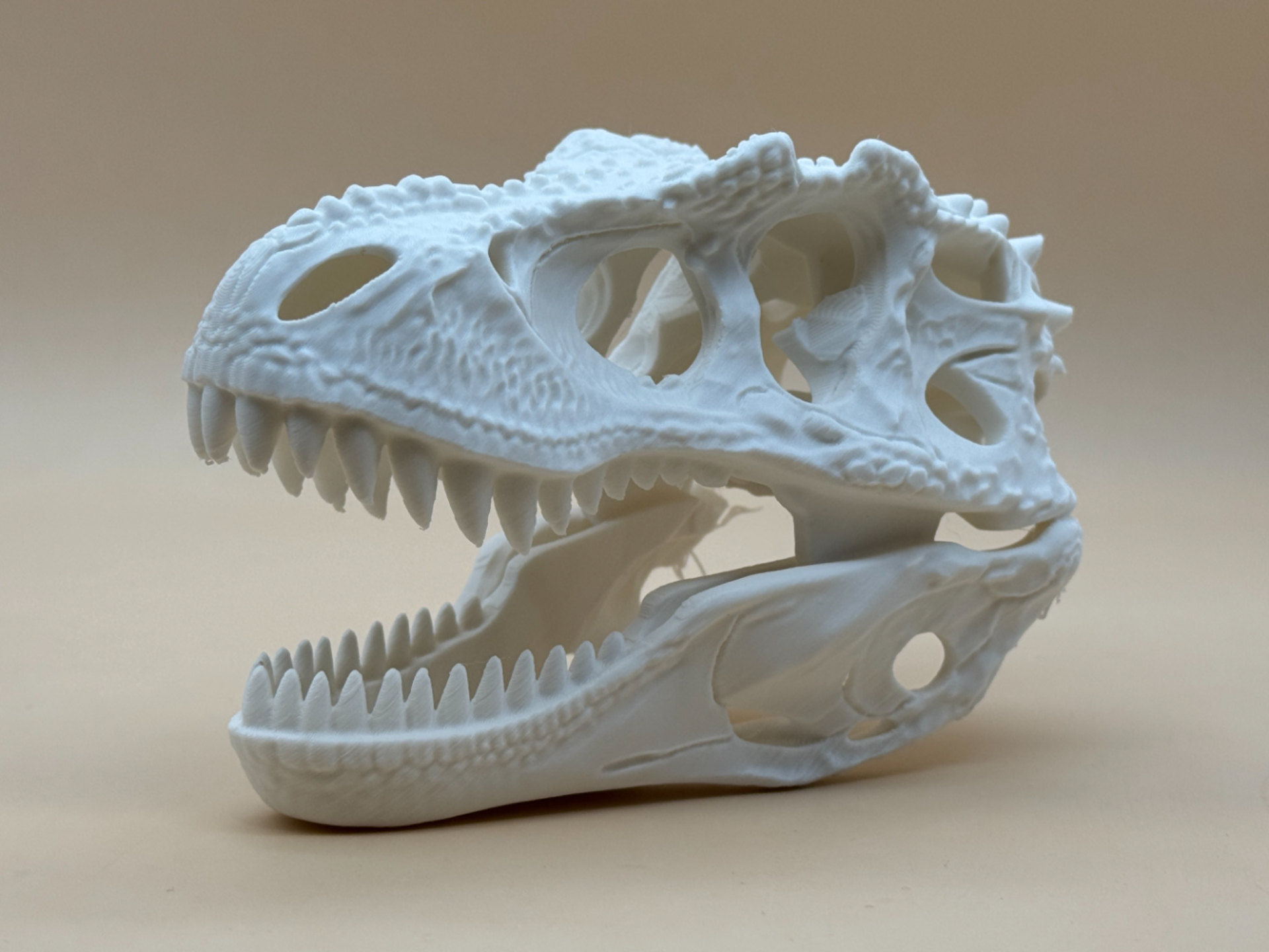Velociraptor Skull Fossil by 栓弟打印 MakerWorld: Download Free 3D Models