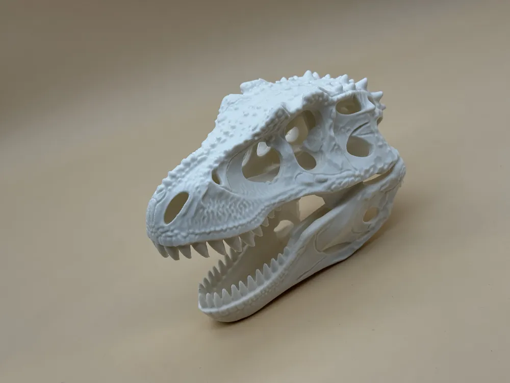 Velociraptor Skull Fossil - Free 3D Print Model - MakerWorld