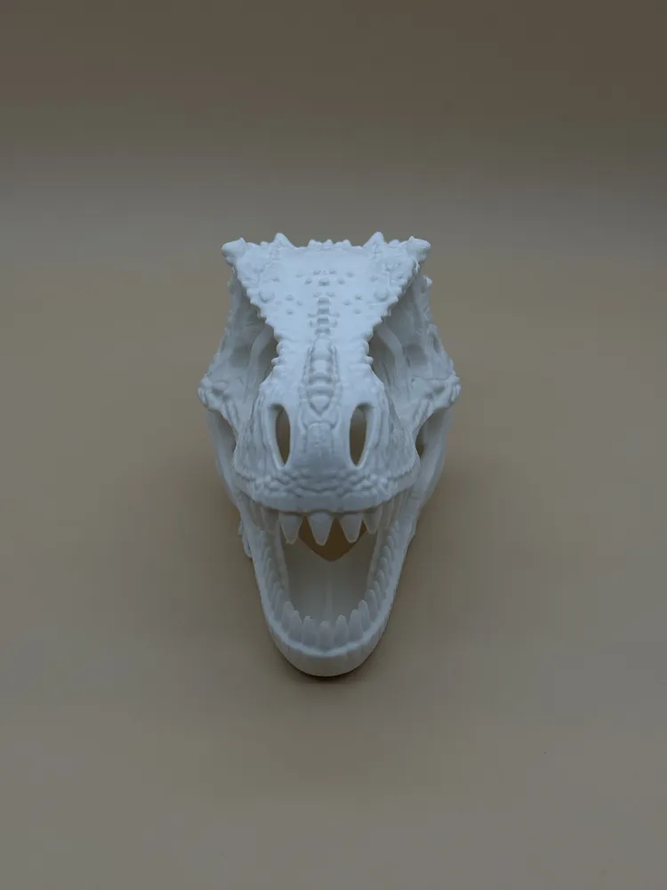 Velociraptor Skull Fossil - Free 3D Print Model - MakerWorld