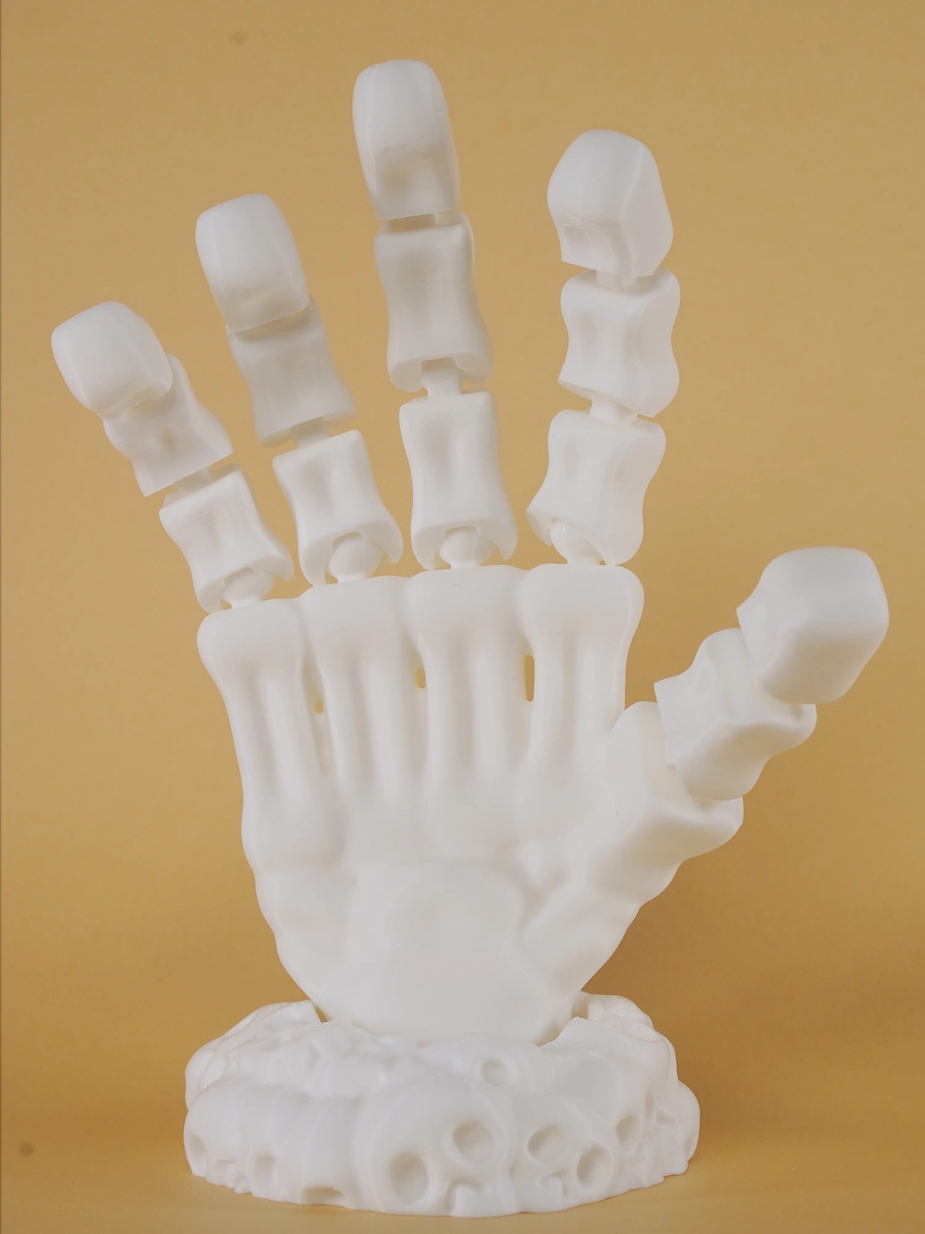 Articulated Skeleton Hand - Free 3D Print Model - MakerWorld