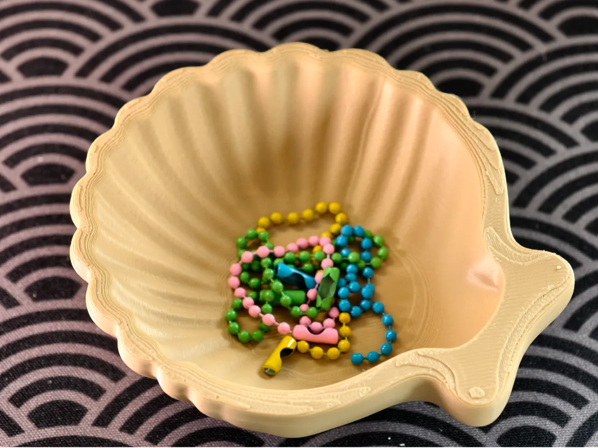 Shell-shaped Container - Free 3D Print Model - MakerWorld