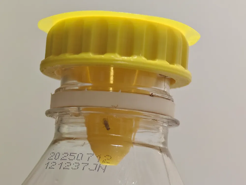 Fruit Fly Trap by plutooo MakerWorld: Download Free 3D Models