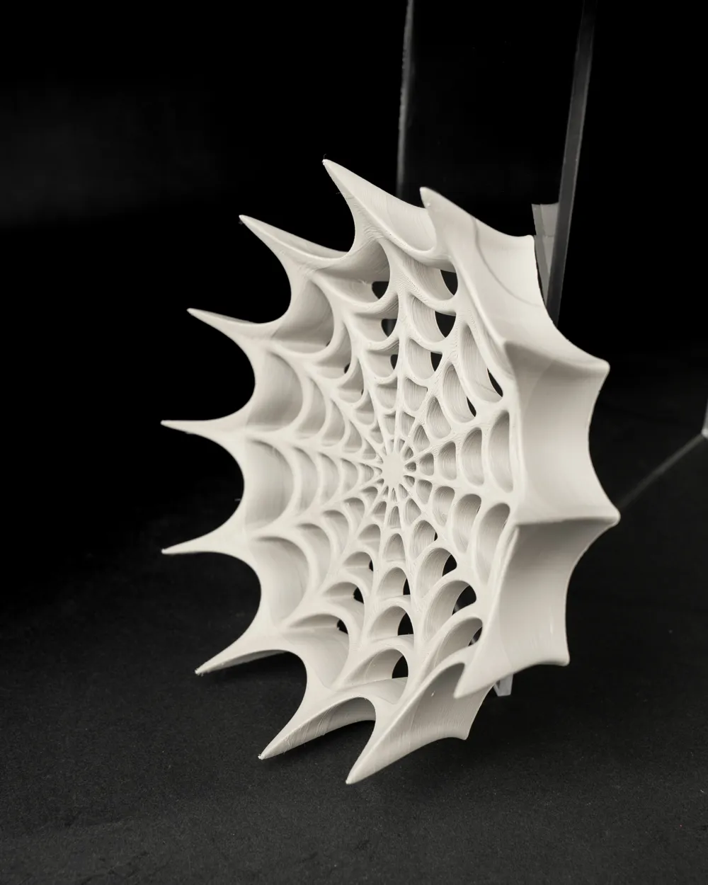 Spider Web Tray by MODERN MACHINE by MODERN MACHINE MakerWorld ...
