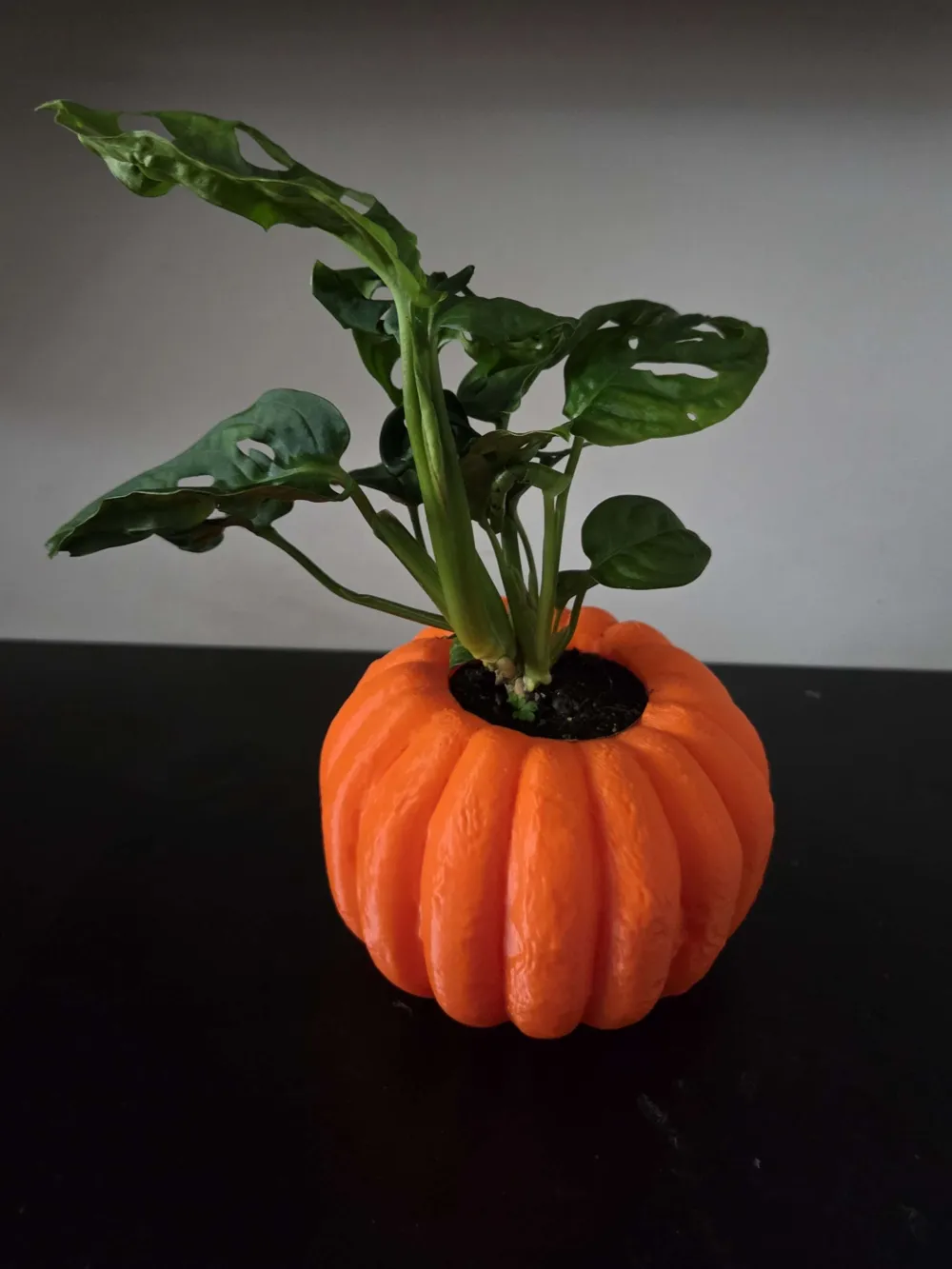 Pumpkin Planter by Spongetron MakerWorld: Download Free 3D Models