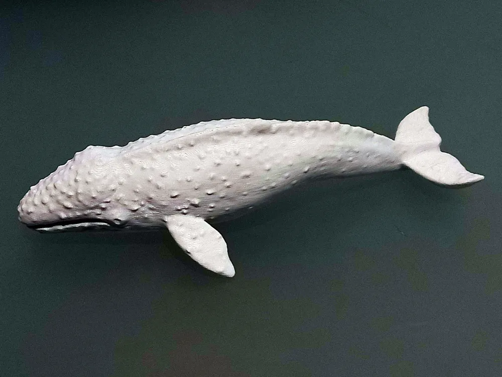 Grauwal Voronoi – Kostenloses 3D-Druckmodell – MakerWorld