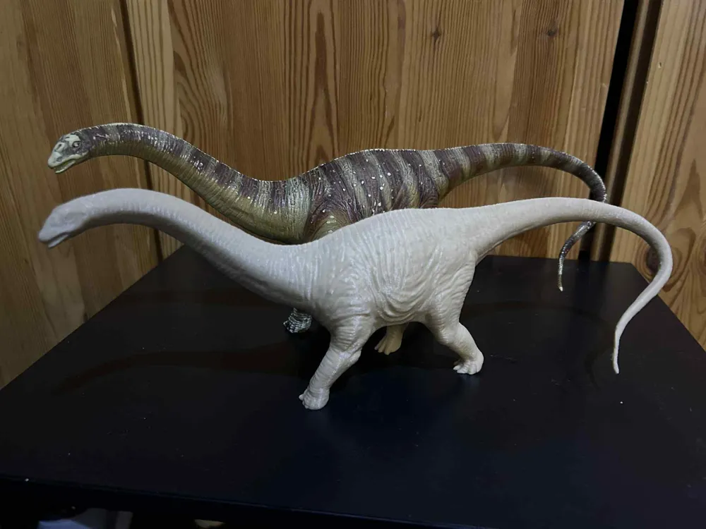Apatosaurus – 3D Scan with the Revopoint MetroY - Free 3D Print Model ...