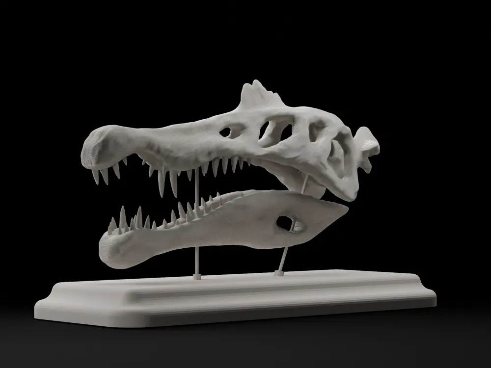 Spinosaur Skull Replica - Fossil by Primal Replicas MakerWorld ...