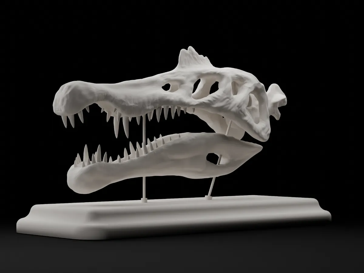 Spinosaur Skull Replica - Fossil - Free 3D Print Model - MakerWorld