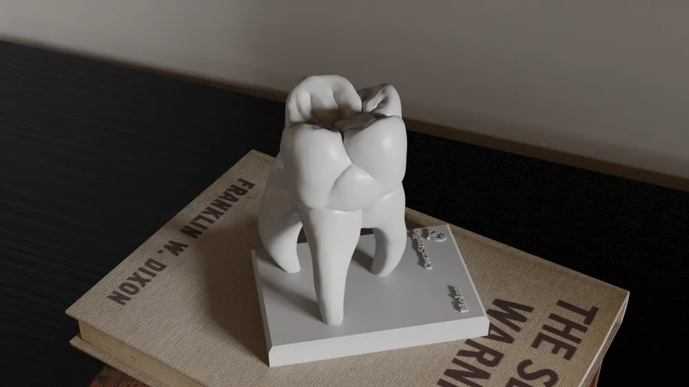Anatomy of Moral Tooth - Free 3D Print Model - MakerWorld