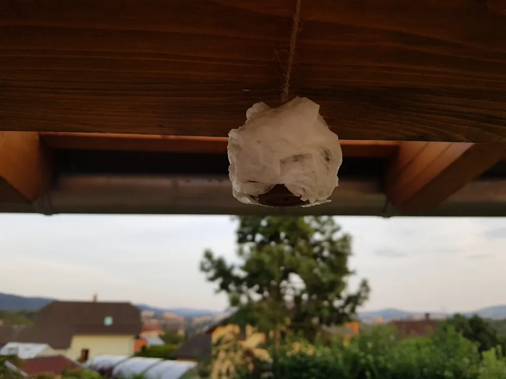 fake wasp nest repels wasps by ŠNVAĆ MakerWorld: Download Free 3D Models