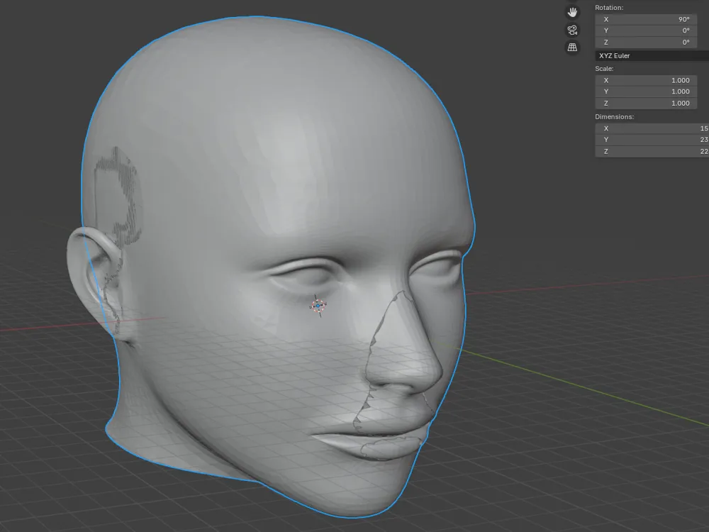 Anatomical Human Head Model - Free 3D Print Model - MakerWorld