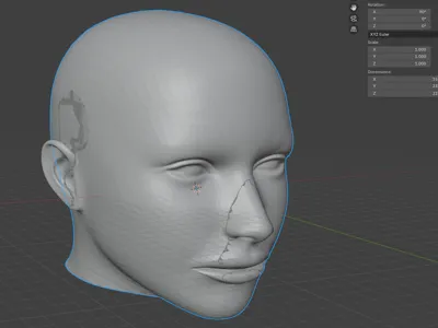 Anatomical Human Head Model - Free 3D Print Model - MakerWorld