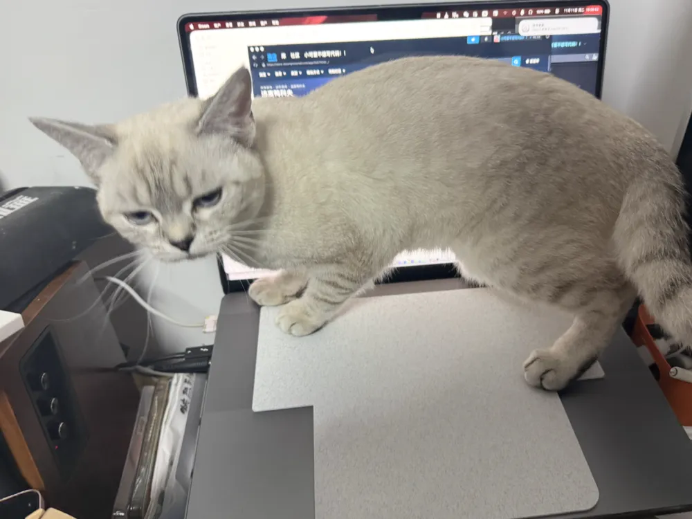 [Prevent Cat Stepping on My Keyboard] for MBP, Covering Keyboard and ...