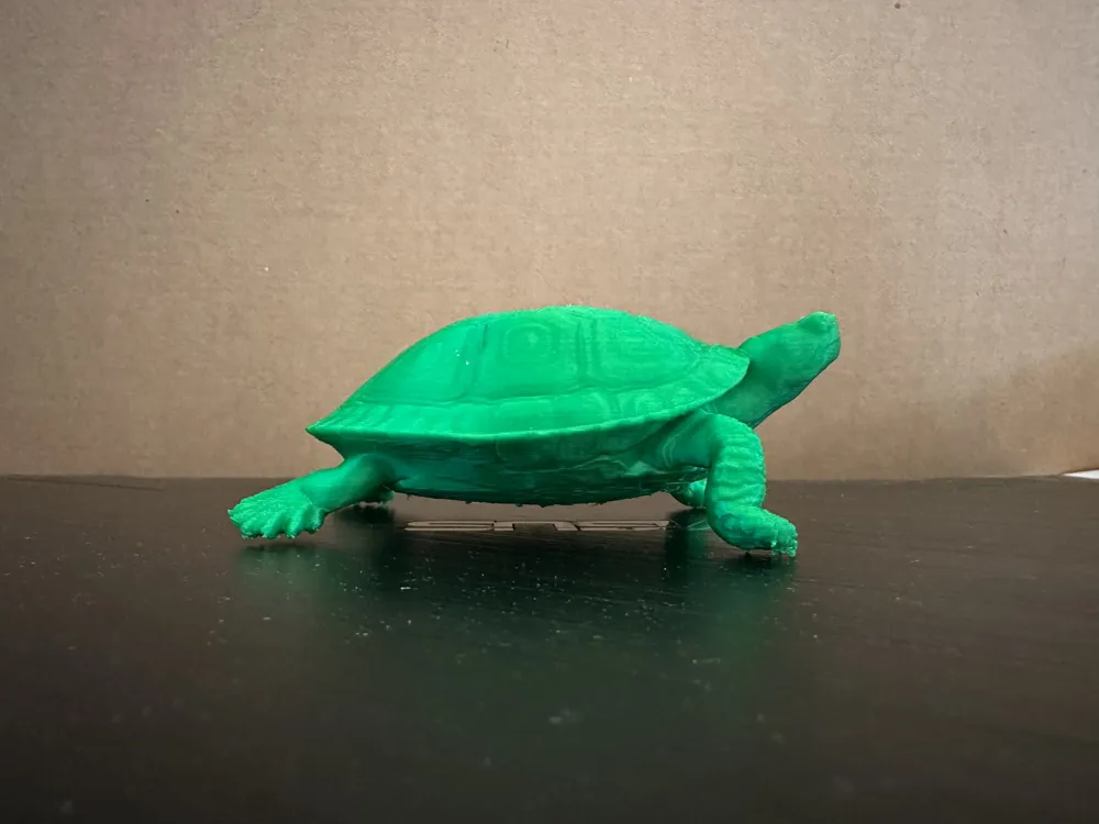 Painted Turtle - Free 3D Print Model - MakerWorld