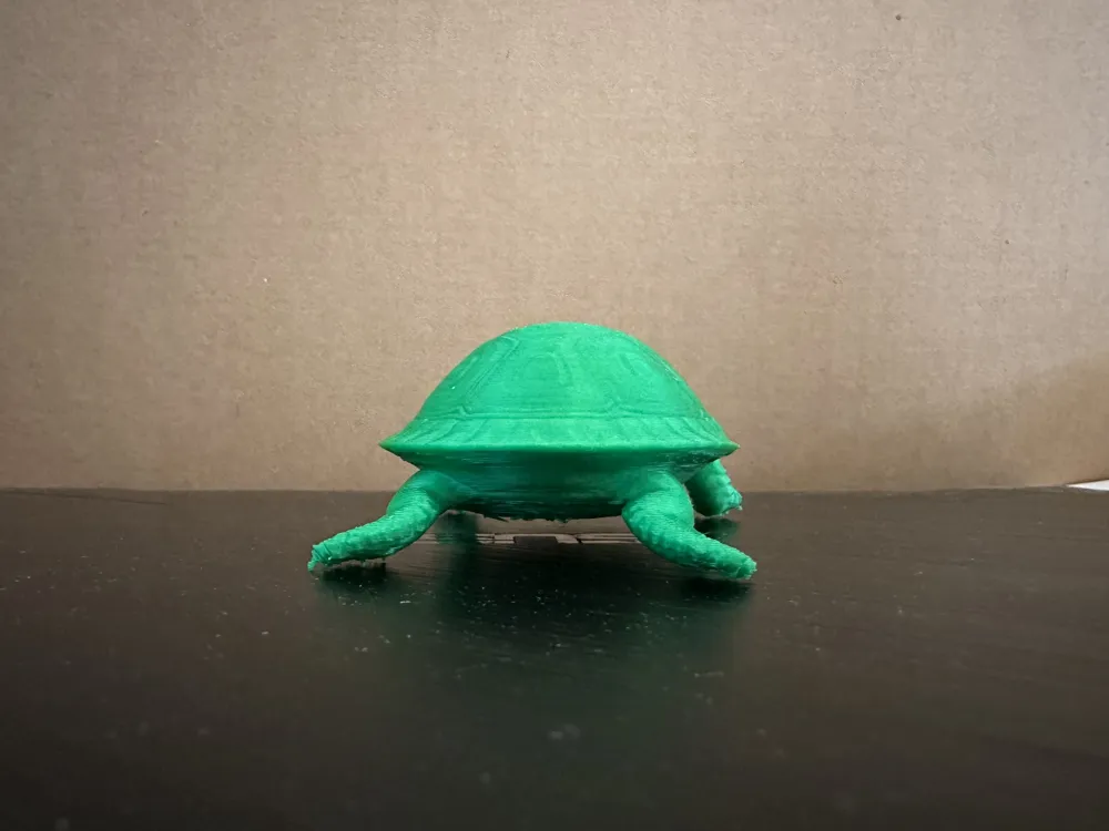 Painted Turtle - Free 3D Print Model - MakerWorld